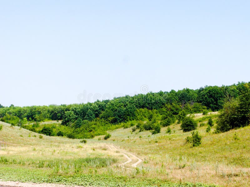 Summer hilly terrain stock image. Image of trees, terrain - 120467651