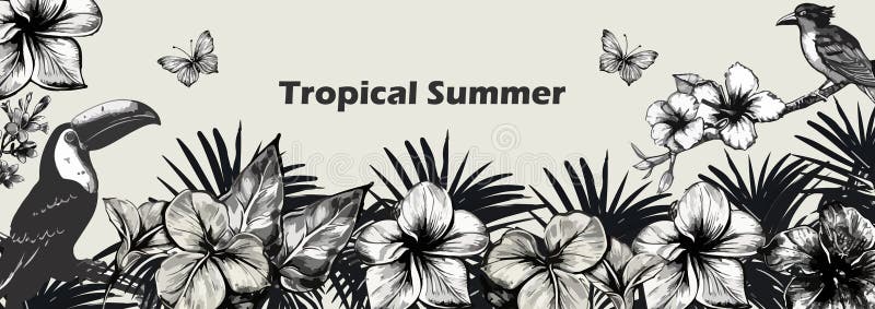 Summer Horizontal Background with Tropical Flowers, Birds and Leaves ...