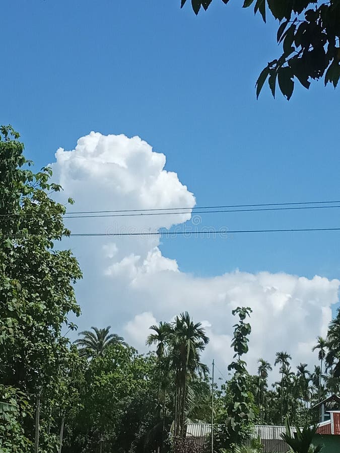 Summer stock image. Image of summer, cloud, rain, tree - 152538493