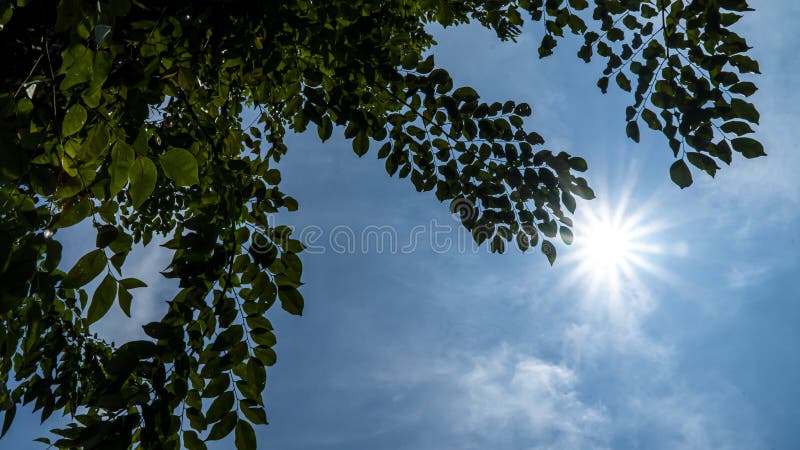 Winter Solstice Day Southern Hemisphere Stock Photos - Free & Royalty ...