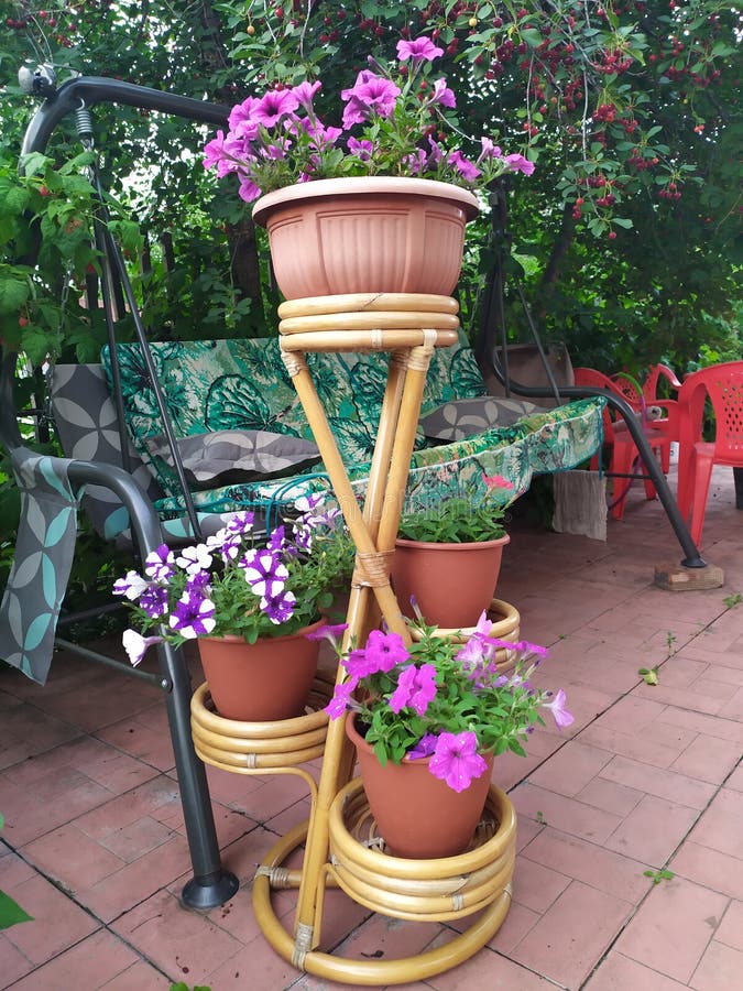 Stand with flowers stock photo. Image of beautiful, spring - 115123270