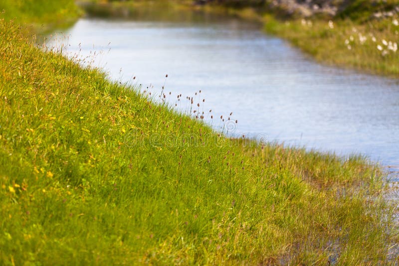 Summer Iceland Landscape with Small River Stream Stock Image - Image of ...