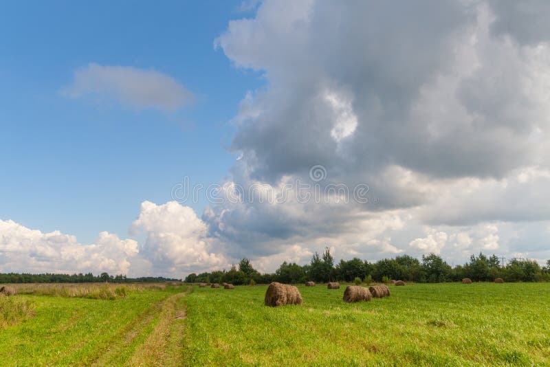 Summer idyll stock image. Image of farm, stack, plant - 55214313