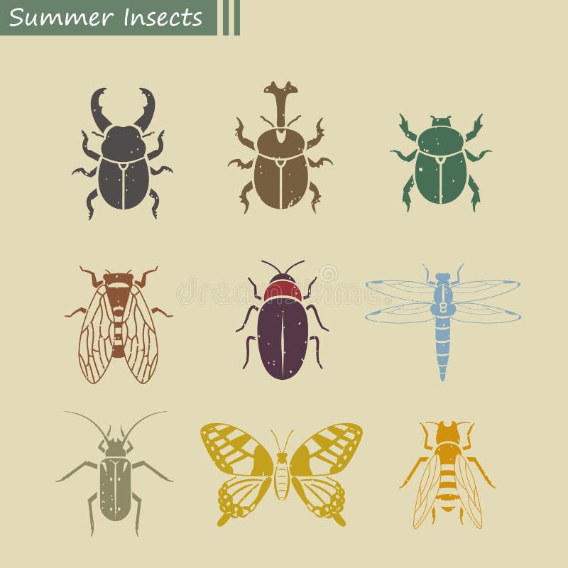 Summer Insects Realistic stock vector. Illustration of flower - 211688947