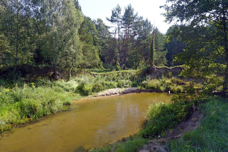 Summer on the Isloch River. Sandy Bottom and Current Stock Image ...