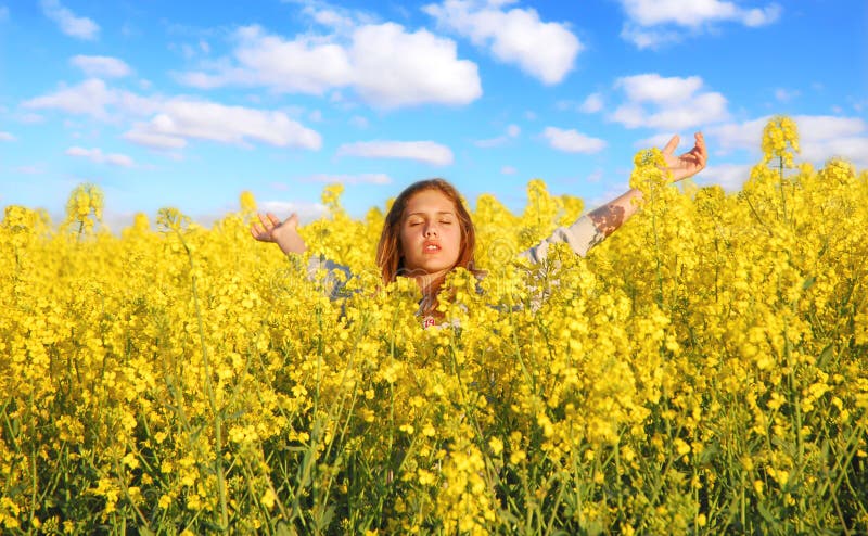 Summer Joy Picture. Image: 8019343