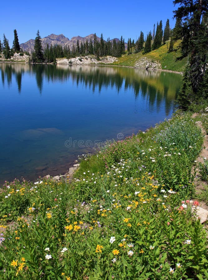 Summer Lake stock image. Image of states, peak, trees - 21804291