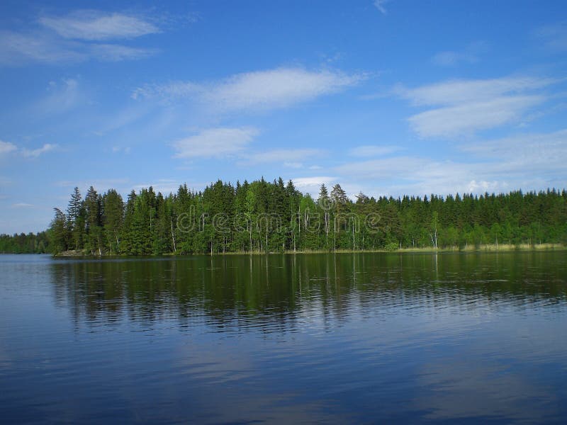 Summer Lake stock image. Image of lake, pond, biome, summer - 44105789