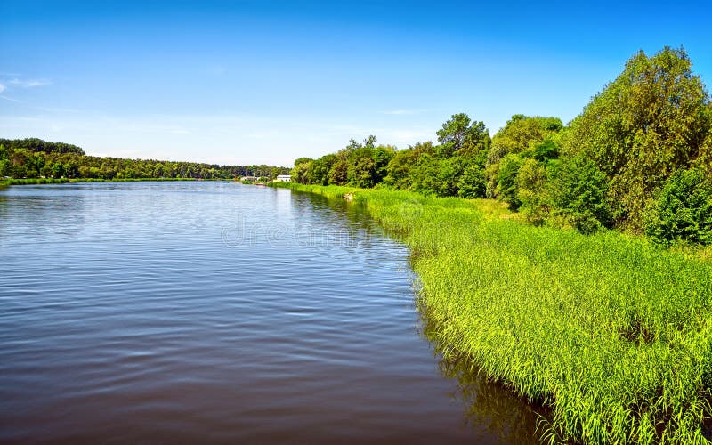 Summer lake stock image. Image of leaf, land, season - 29750197