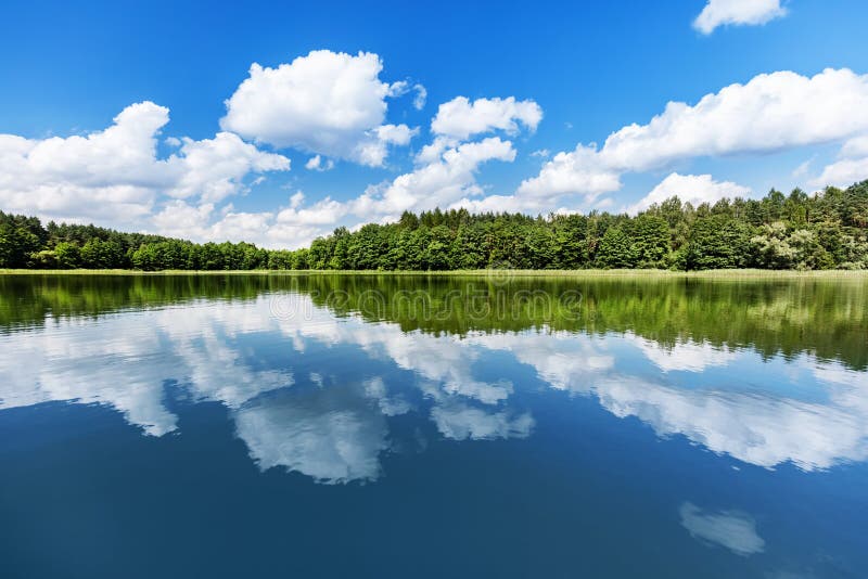 Summer lake landscape. stock photo. Image of holidays - 99282140