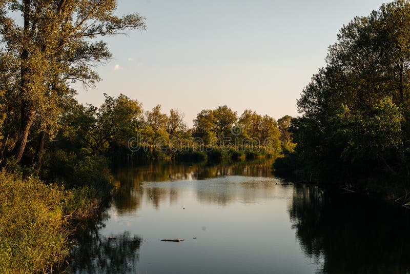 Summer Lake Surrounded by Trees at Dawn Stock Photo - Image of river ...