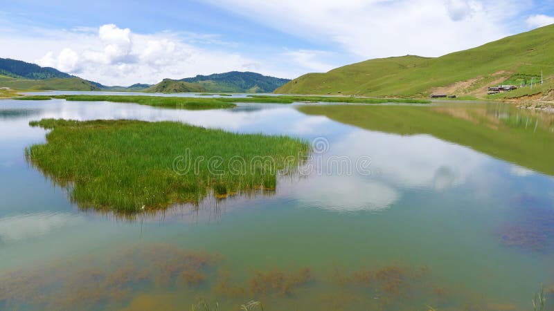 Summer lake under blue sky stock image. Image of blue - 21570621