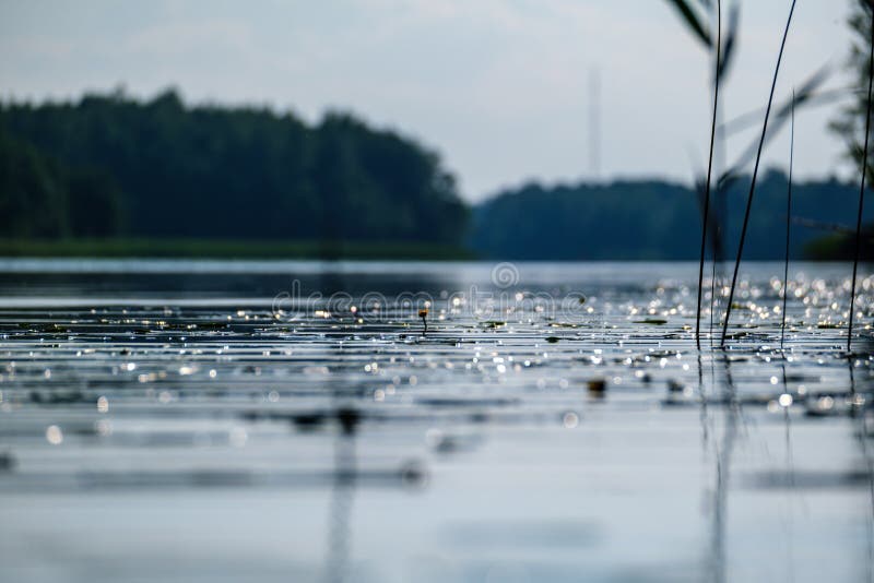 Summer Lake Water Surface Abstract from Low Point of View Stock Image ...