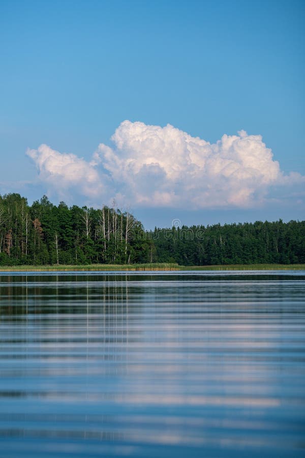 Summer Lake Water Surface Abstract from Low Point of View Stock Photo ...