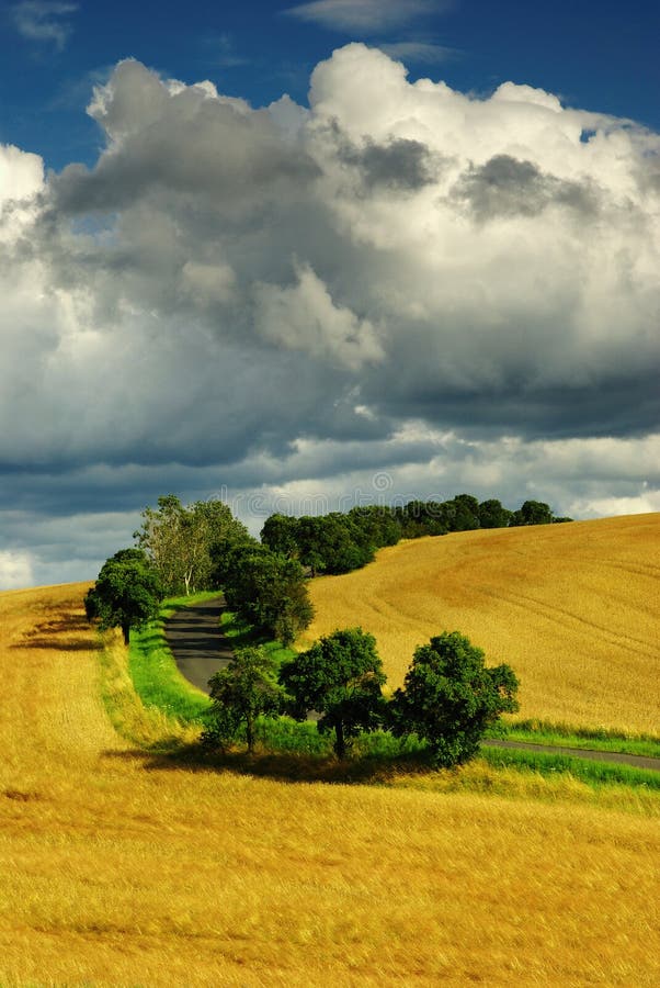 Summer landscape stock image. Image of farmland, fields - 10550789