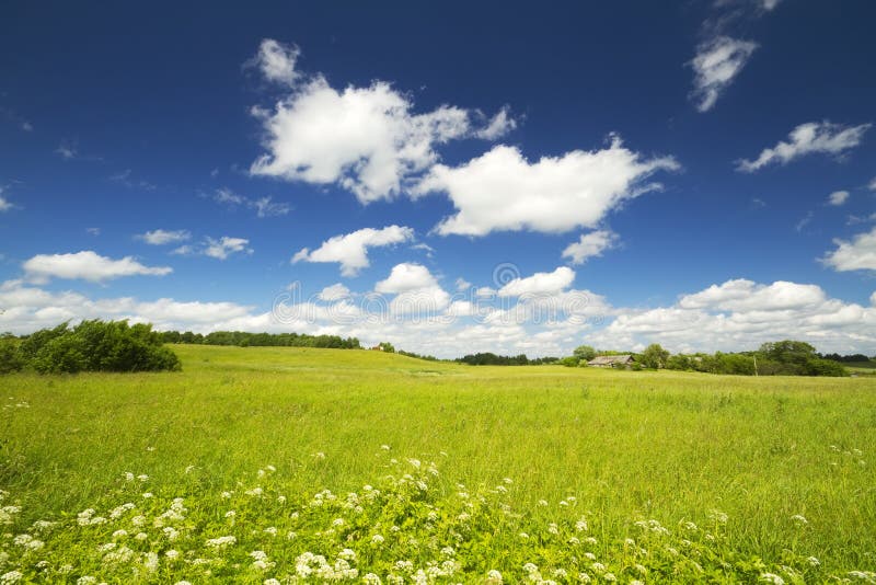 Summer landscape stock photo. Image of blue, landscape - 14994842