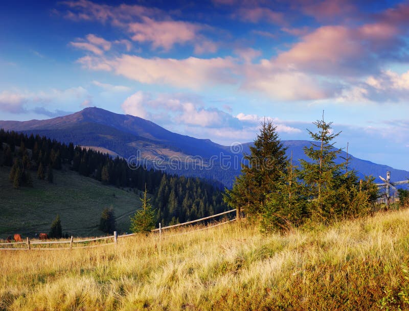 Summer Landscape Picture. Image: 19962608