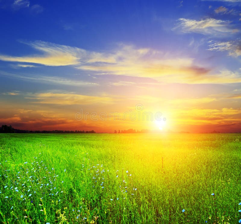 Spring Landscape stock image. Image of farmland, countryside - 14113983