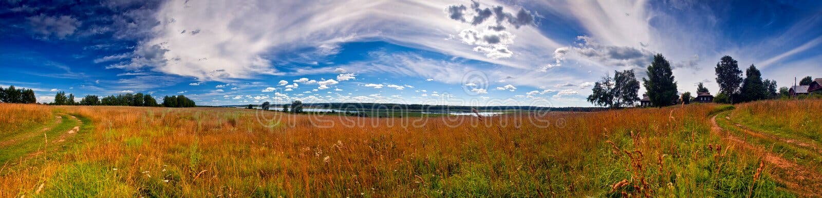 Panoramic Rural Landscape with Birch Stock Image - Image of creamy ...