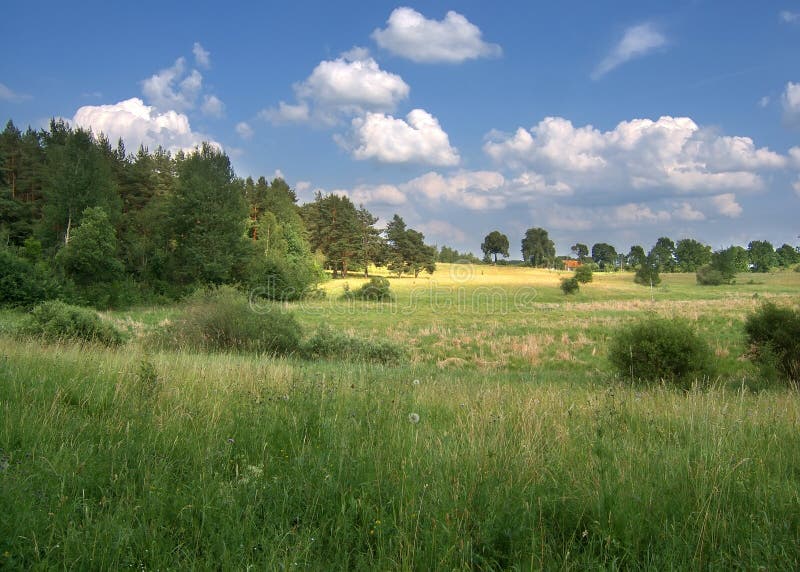 Summer landscape stock photo. Image of lanscape, trees - 28066936
