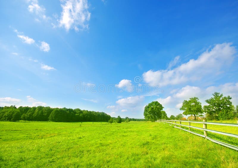 Summer landscape stock image. Image of farming, landscape - 3430655