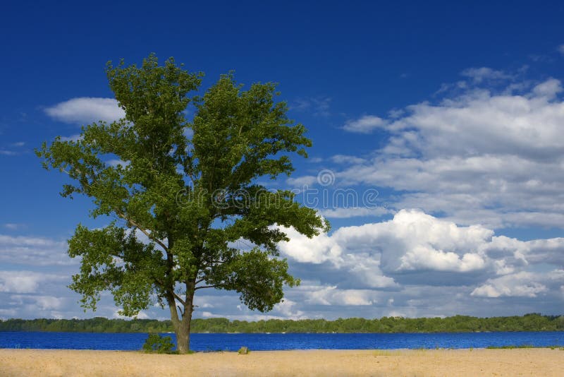Summer Landscape stock photo. Image of clouds, scenery - 9666486