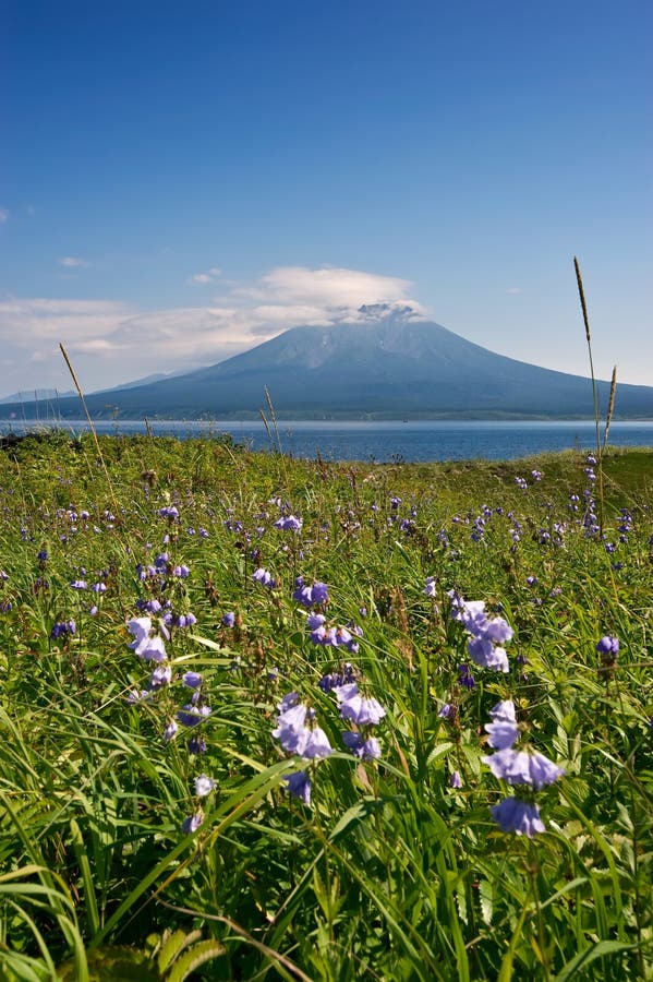 Summer Landscape Against the Backdrop of the Volcano Stokap Stock Image ...