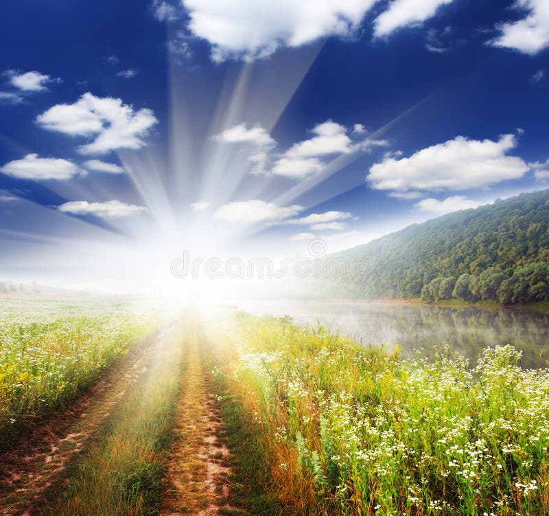 Summer landscape stock image. Image of botany, landscape - 212077163