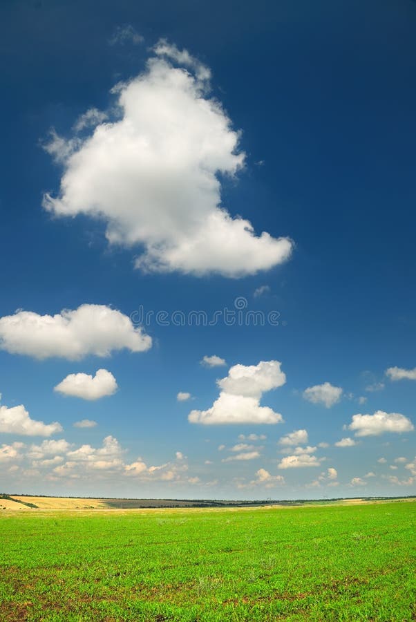 Summer Landscape with the Beautiful Sky Stock Photo - Image of farming ...