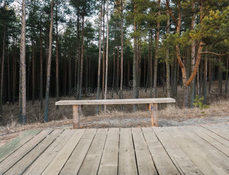 Summer Landscape with Bench in Front of Forest Stock Image - Image of ...