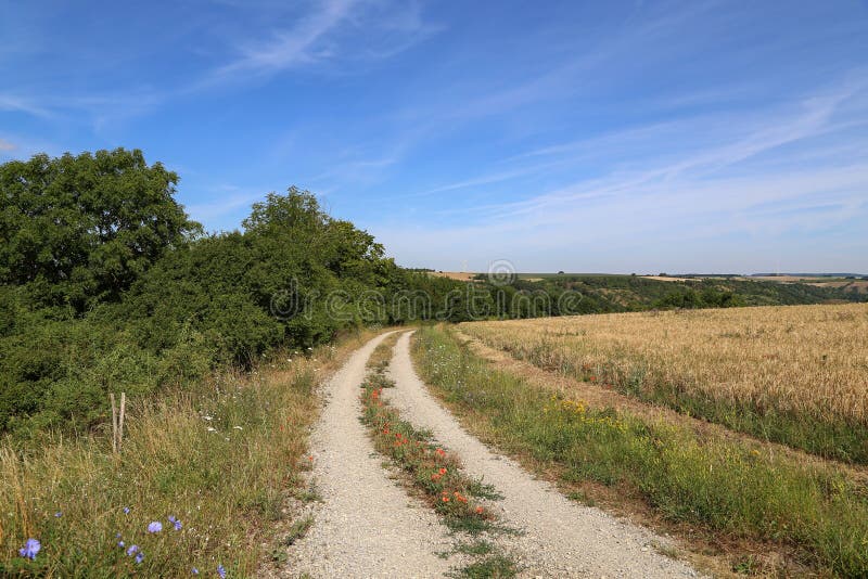 Summer Landscape with Blue Sky and Clouds Stock Image - Image of ...