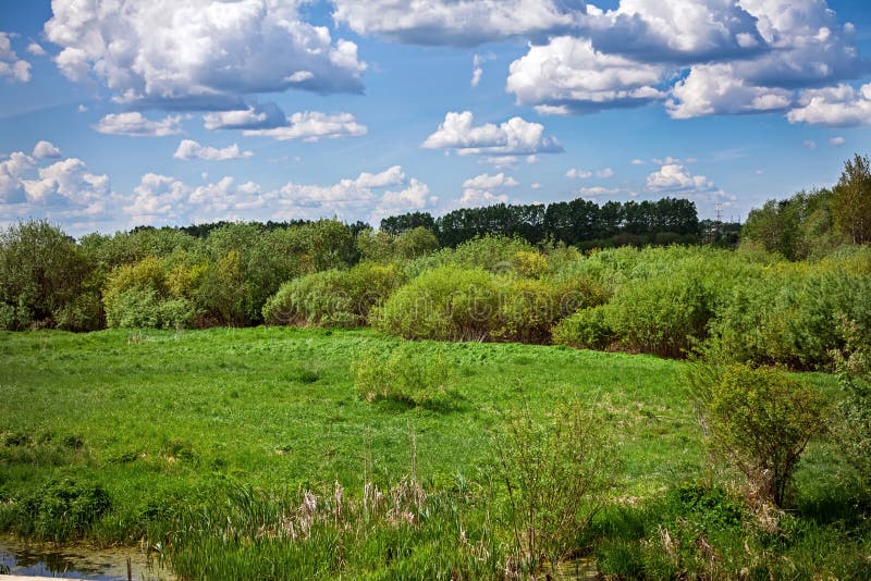 Summer Landscape - Blue Sky and Green Grass Stock Image - Image of ...