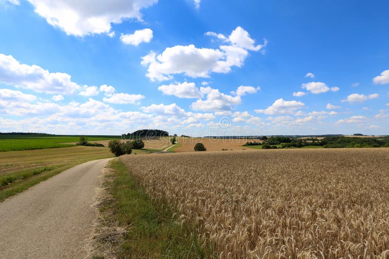 Summer Landscape with Blue Sky and White Clouds Stock Photo - Image of ...