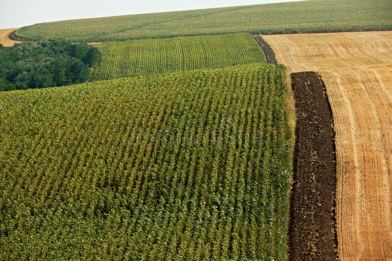 Summer Landscape from Bulgaria Stock Image - Image of scenery, farm ...