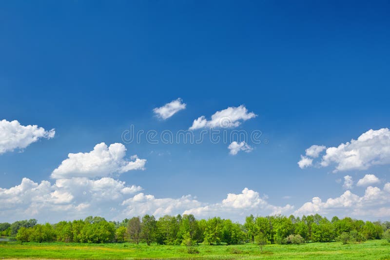 Spring Summer Landscape Blue Sky Clouds River Boat Green Trees Stock ...