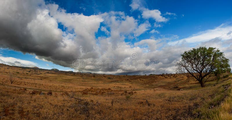 Summer Landscape with Cloudy Sky Stock Image - Image of hawaii, view ...