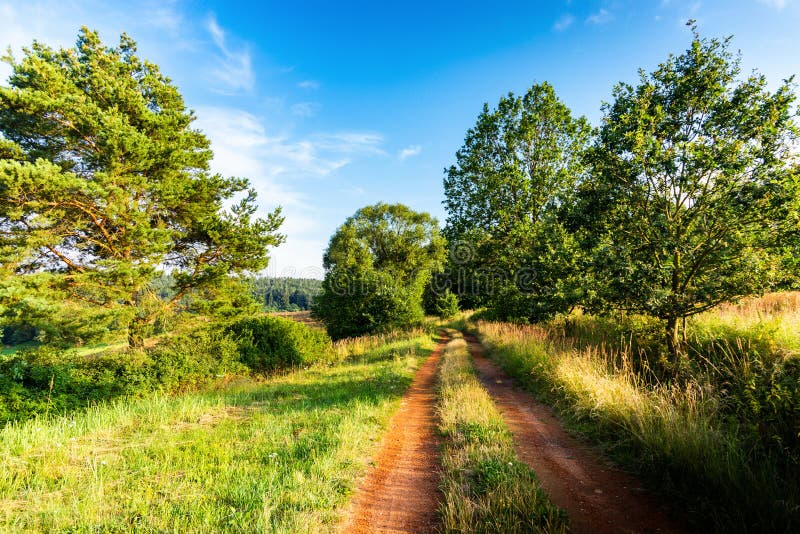 Summer Landscape with Country Road. Trees and Field Stock Photo - Image ...