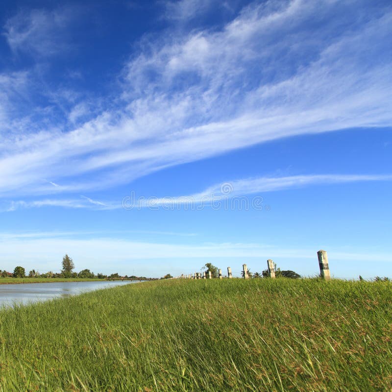 Summer landscape stock photo. Image of pasture, clear - 35916584
