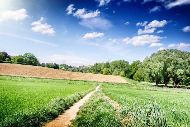 Summer Landscape with Countryside Fields Stock Photo - Image of green ...