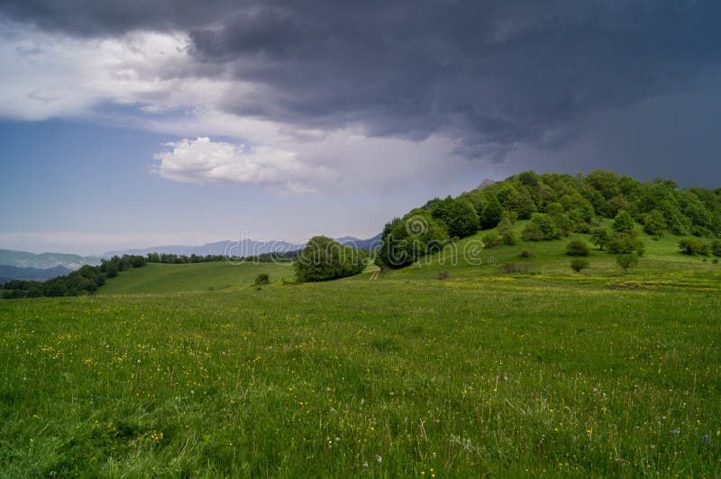 Summer landscape stock photo. Image of nature, scene - 41563176