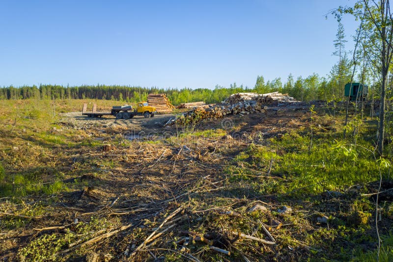 Summer Landscape with Deforestation. Environmental Problems in ...