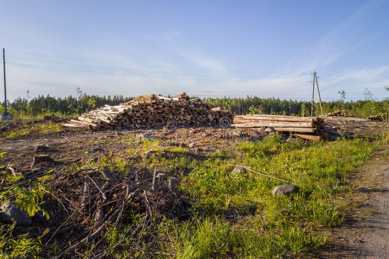 Summer Landscape with Deforestation. Environmental Problems in ...
