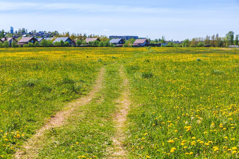 Summer Landscape with an Empty Rural Road Stock Photo - Image of ...