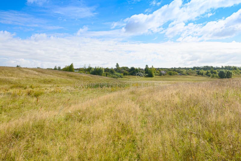 Summer Landscape with a Field Overgrown with Grass and a Blue Sky with ...