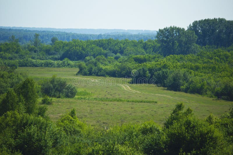 Summer Landscape, Field and Road Going into the Distance Stock Image ...