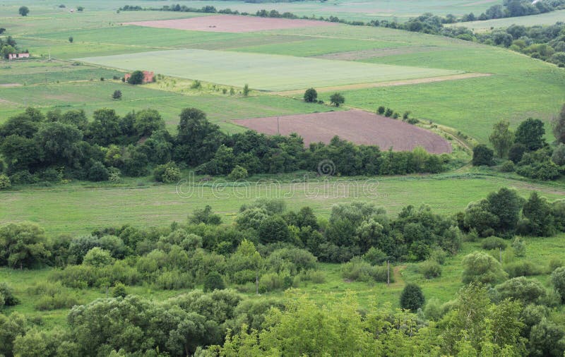 Summer Landscape with Fields, Meadows and Trees Stock Photo - Image of ...