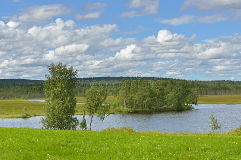 Summer Landscape in Finland Stock Image - Image of mires, lake: 75506587