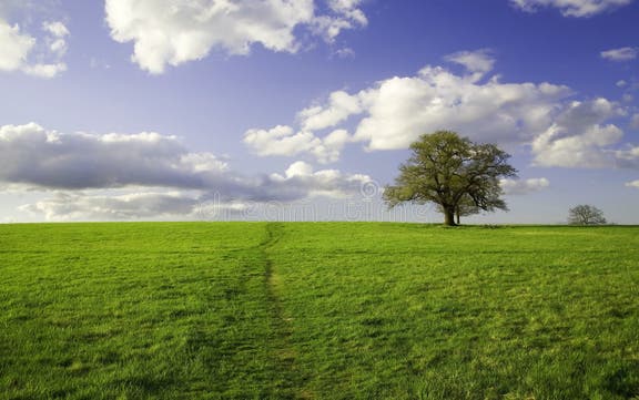 191,960 Spring Summer Green Field Scenery Landscape Stock Photos - Free ...