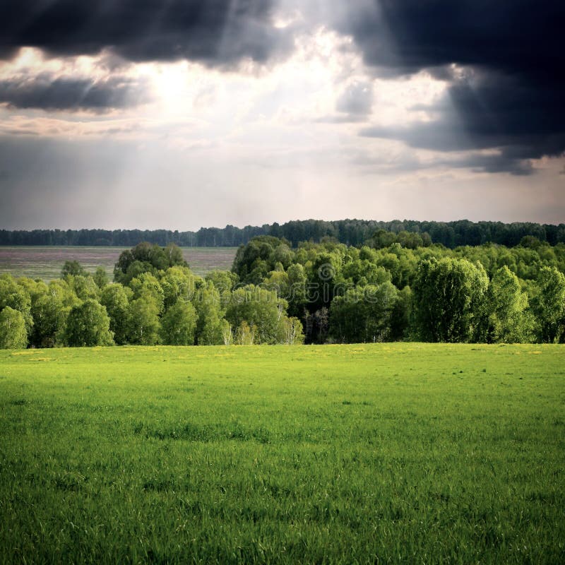 Summer Landscape stock image. Image of plain, scene, calm - 45865669