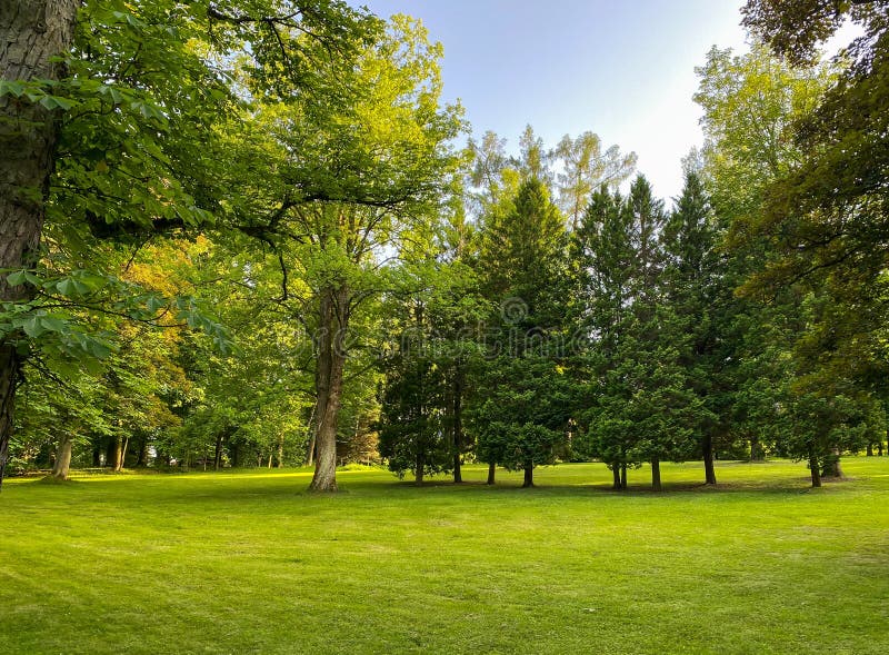 Summer Landscape with Green Lawn, Trees and Blue Sky Stock Photo ...